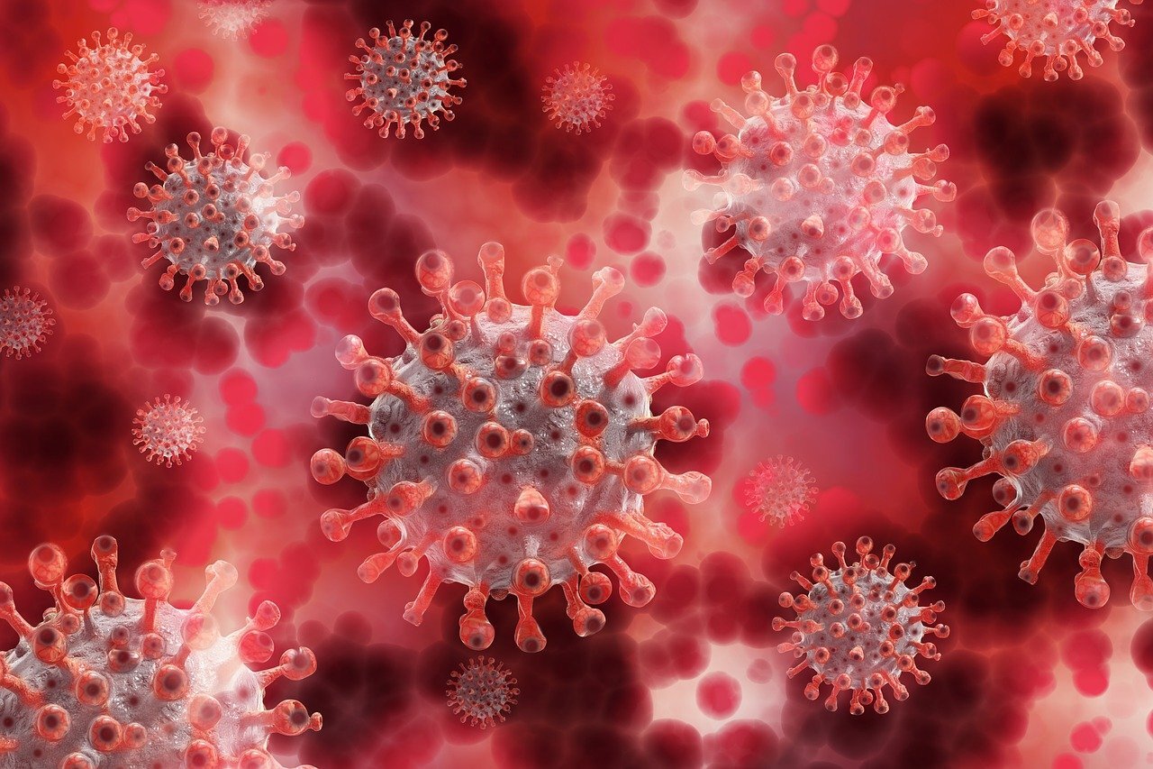 Grippeviren im Vergleich: Warum manche Influenza-Erreger gefährlicher ...