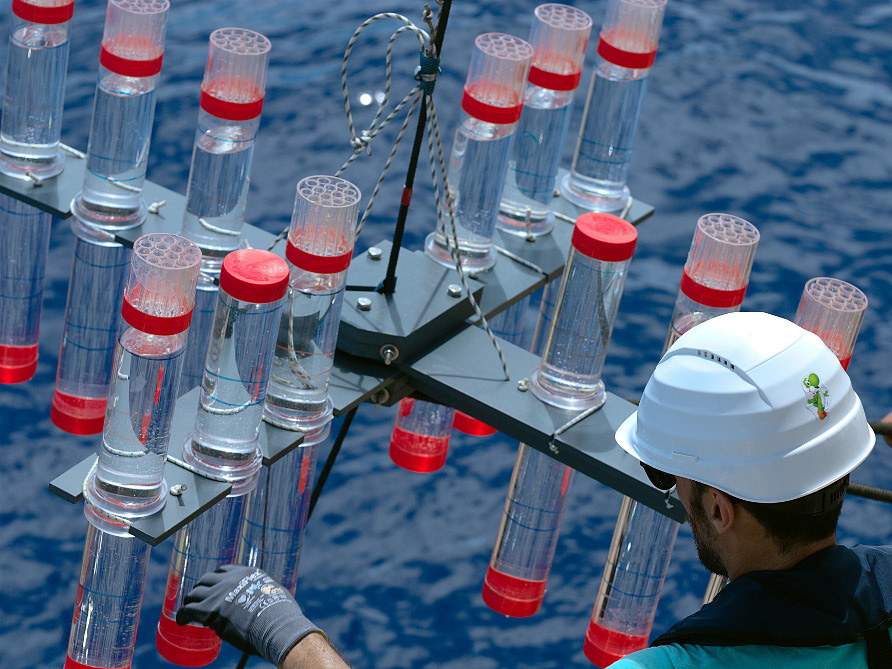 Per Anhalter auf dem Weg in die Tiefsee - Erste In-situ-Messungen von ...