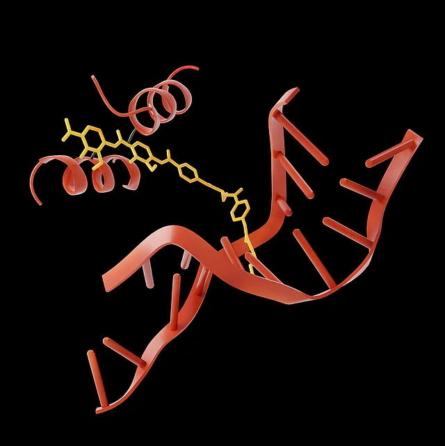 Natürliches Pflanzengift als neues Breitband-Antibiotikum: VBIO