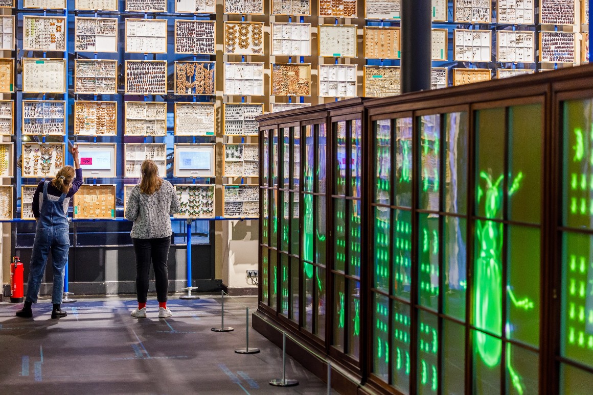 ONE World – ONE Collection: VBIO