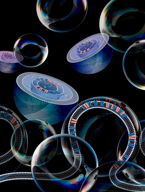 Wenn die Zelle sich selbst verdaut: Wie sich neurodegenerative ...