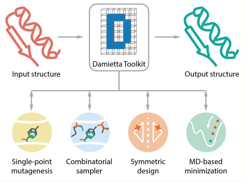 Toolkit macht Proteindesign schneller und leichter zugänglich: VBIO