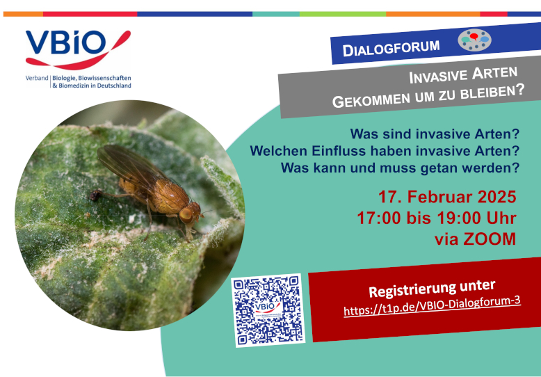 Invasive Arten: Jetzt anmelden zum VBIO-Dialogforum am 17. Februar 2025 ...