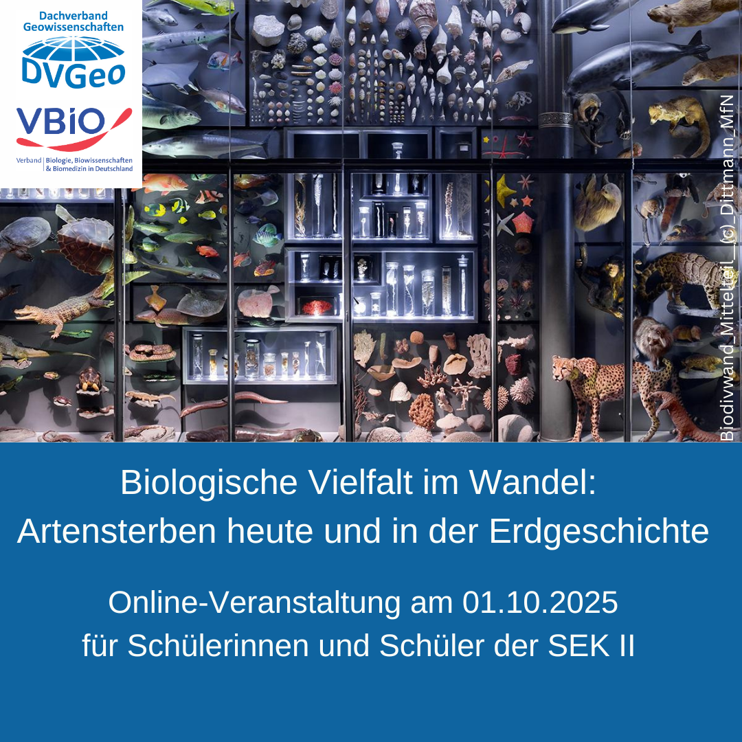 Biologische Vielfalt im Wandel: Artensterben heute und in der ...