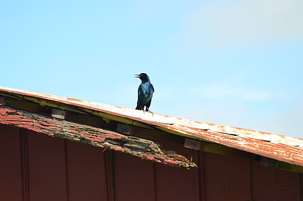 Erfolgsrezept: Flexibilität und Beharrlichkeit: VBIO
